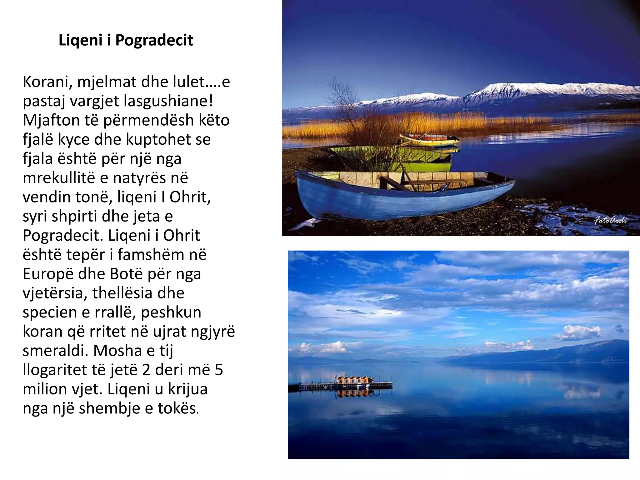 Projekt ne informatik regis a" power point" | PPTX