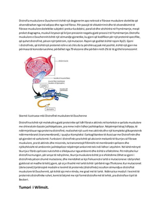 Mutacionet gjenetike | PDF