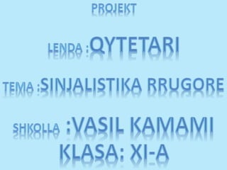 Sinjalistika Rrugore | PPTX