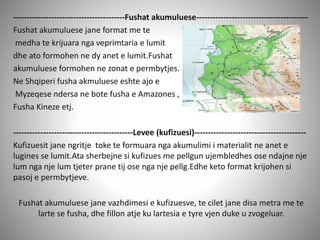 Veprimtaria e lumit | PPTX