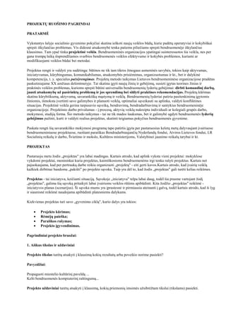 Projektu ruosimo pagrindai | PDF