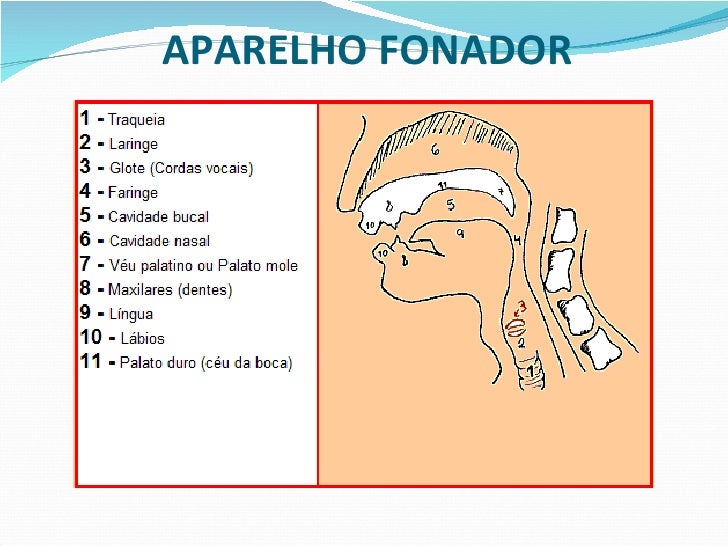 Projeção Vocal - Oficina Da Voz 2009