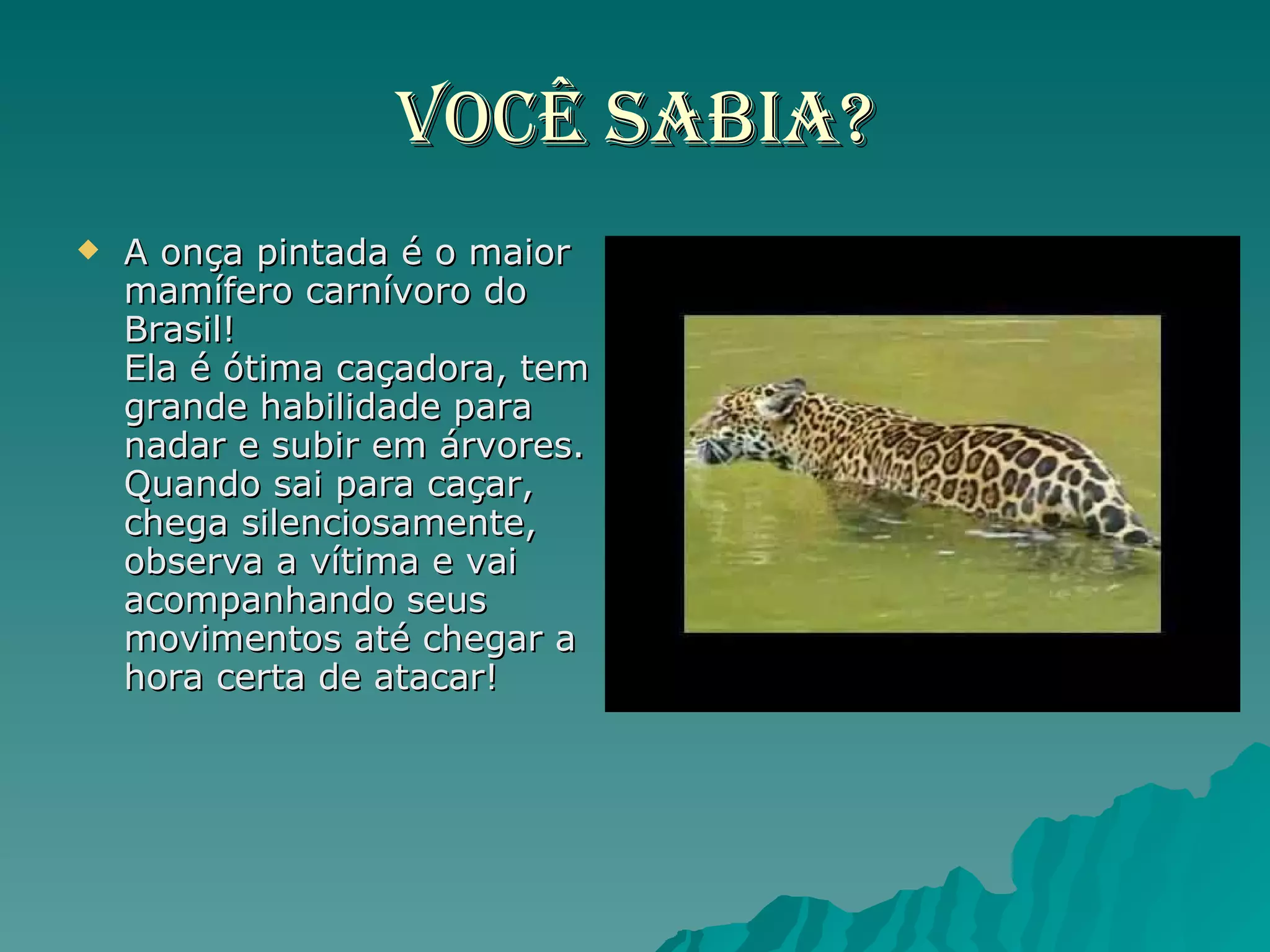 Projeto pantanal | PPT