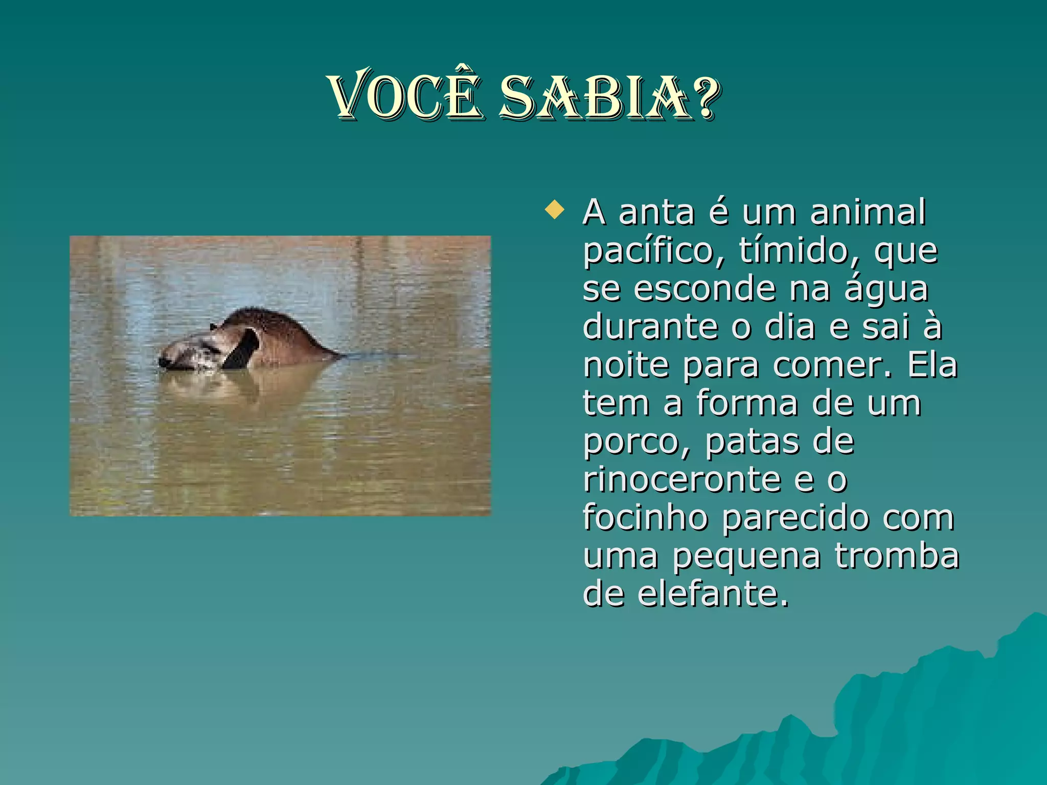 Projeto pantanal | PPT