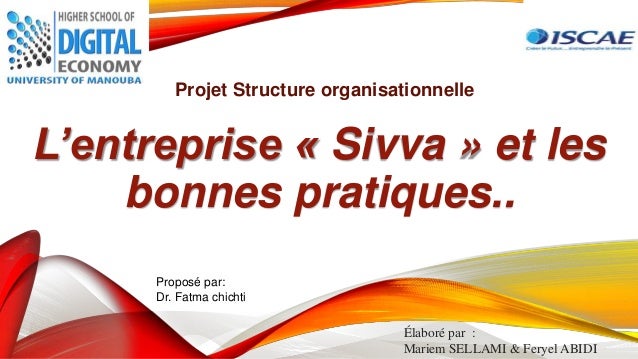 Projet structure organisationnelle
