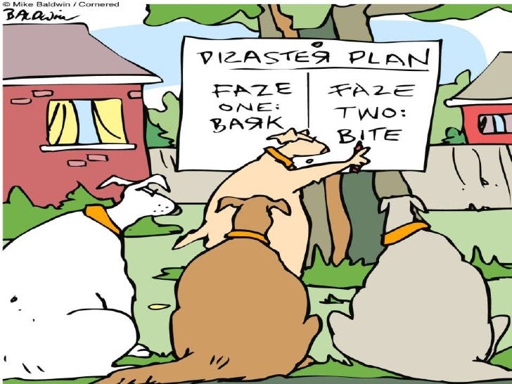 Buisness contingency plan