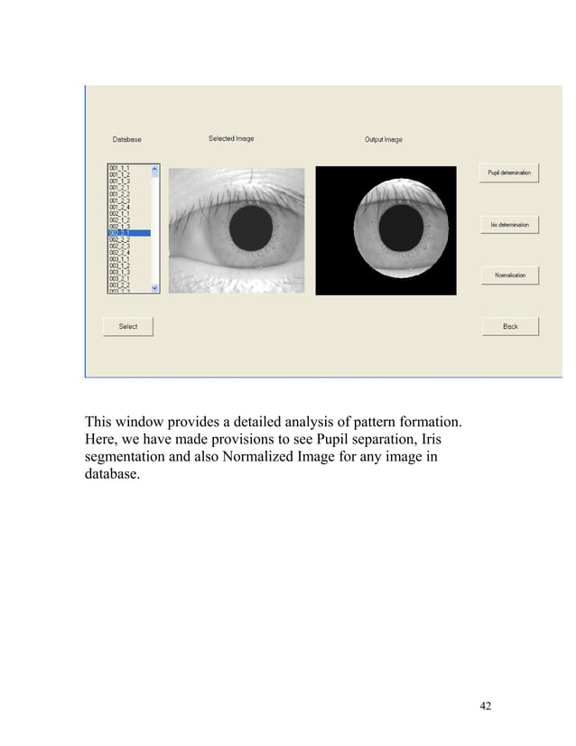 Iris based Human Identification | PDF | Internet Safety | Parenting