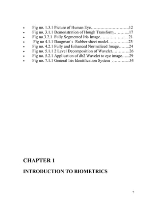 Iris based Human Identification | PDF