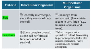 DISCUSSION ABOUT PROKARYOTES AND EUKARYOTESpptx | PPTX
