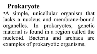 DISCUSSION ABOUT PROKARYOTES AND EUKARYOTESpptx | PPTX