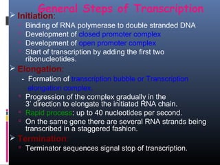 Prokar transcription | PPT
