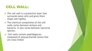 Prokaryoic Cell | PPTX