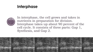 PROKARYOTE AND EUKARYOTIC: Definitions.pptx