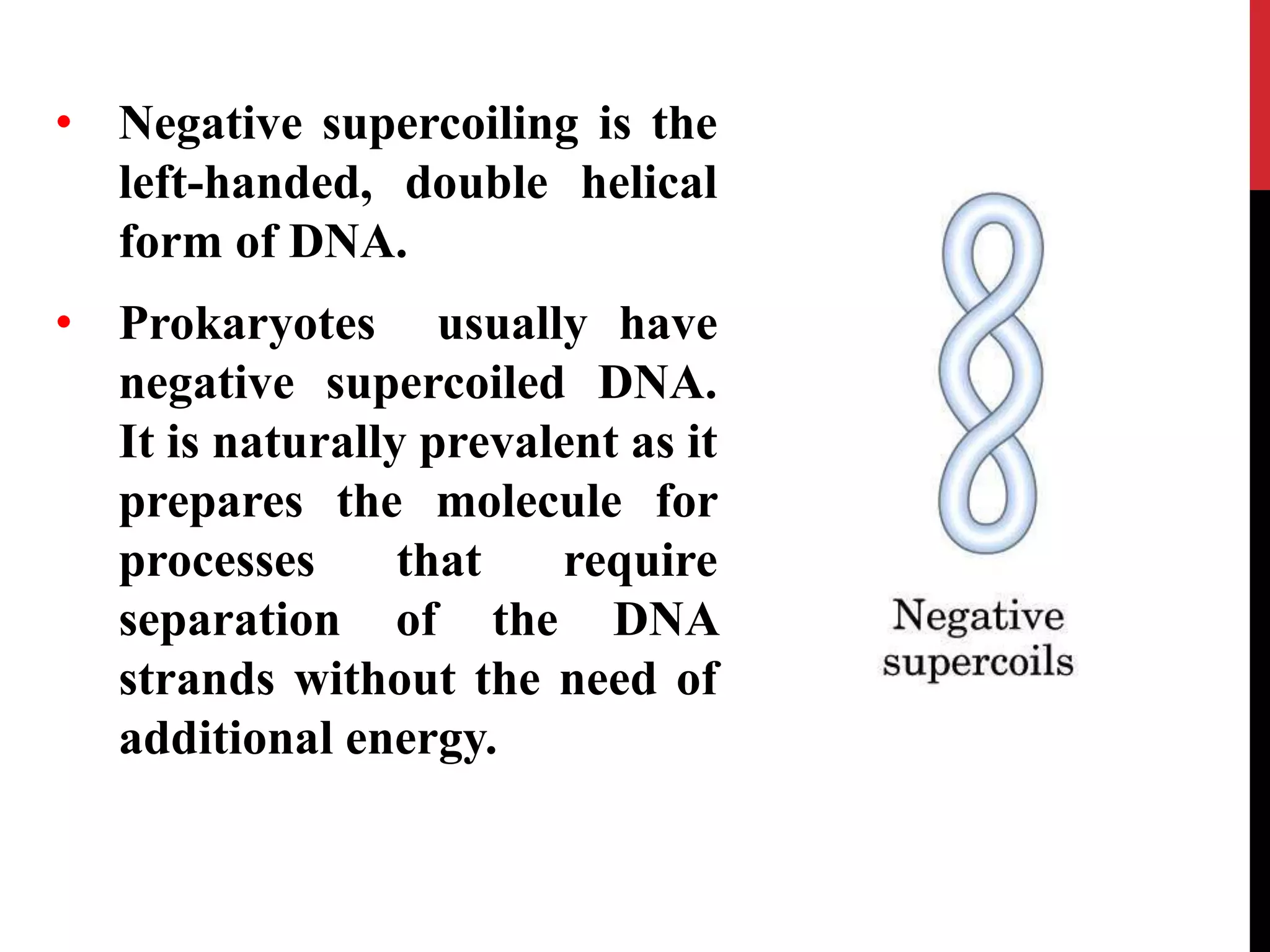 Prokaryote genome | PPTX