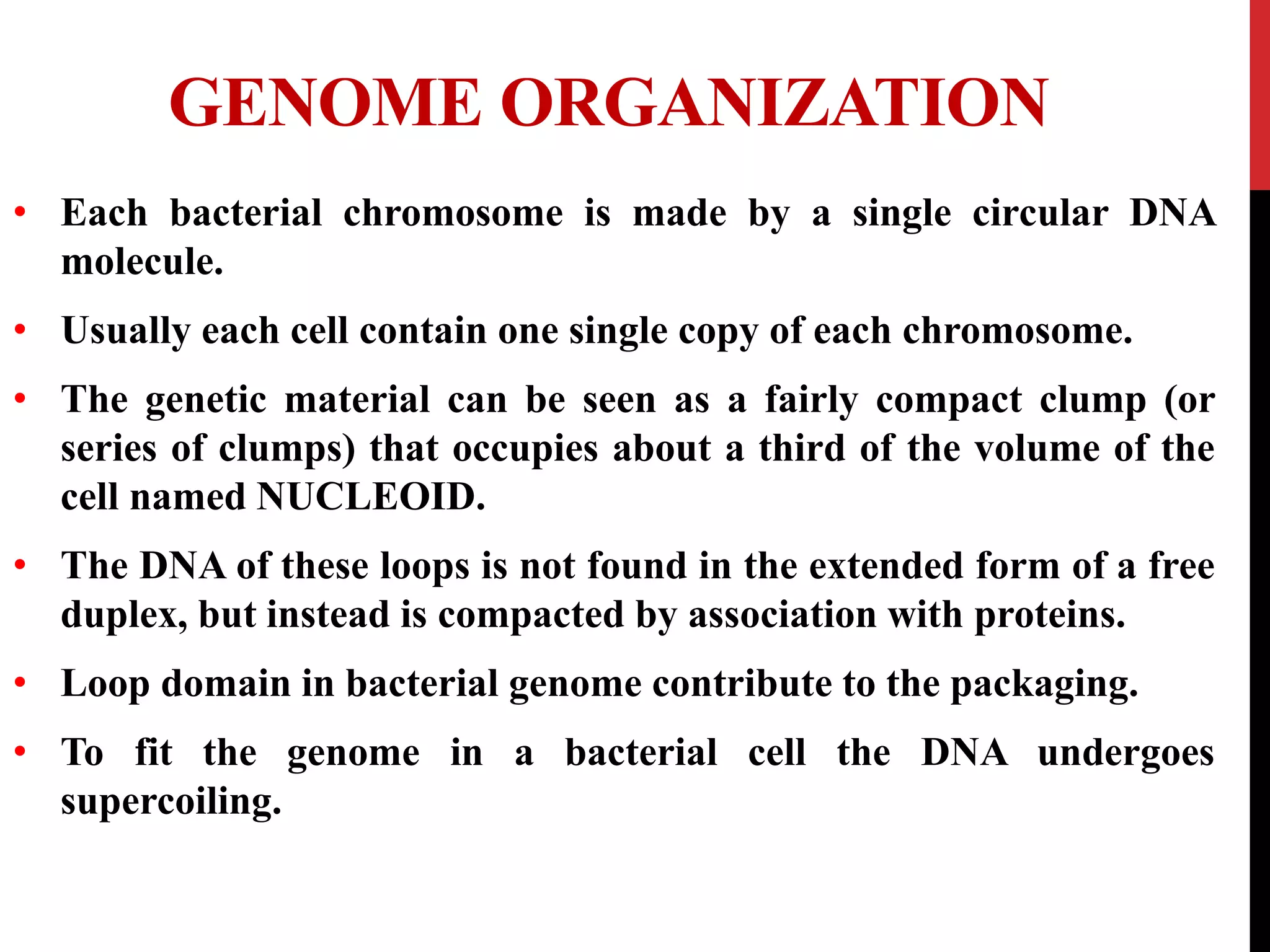 Prokaryote genome | PPTX