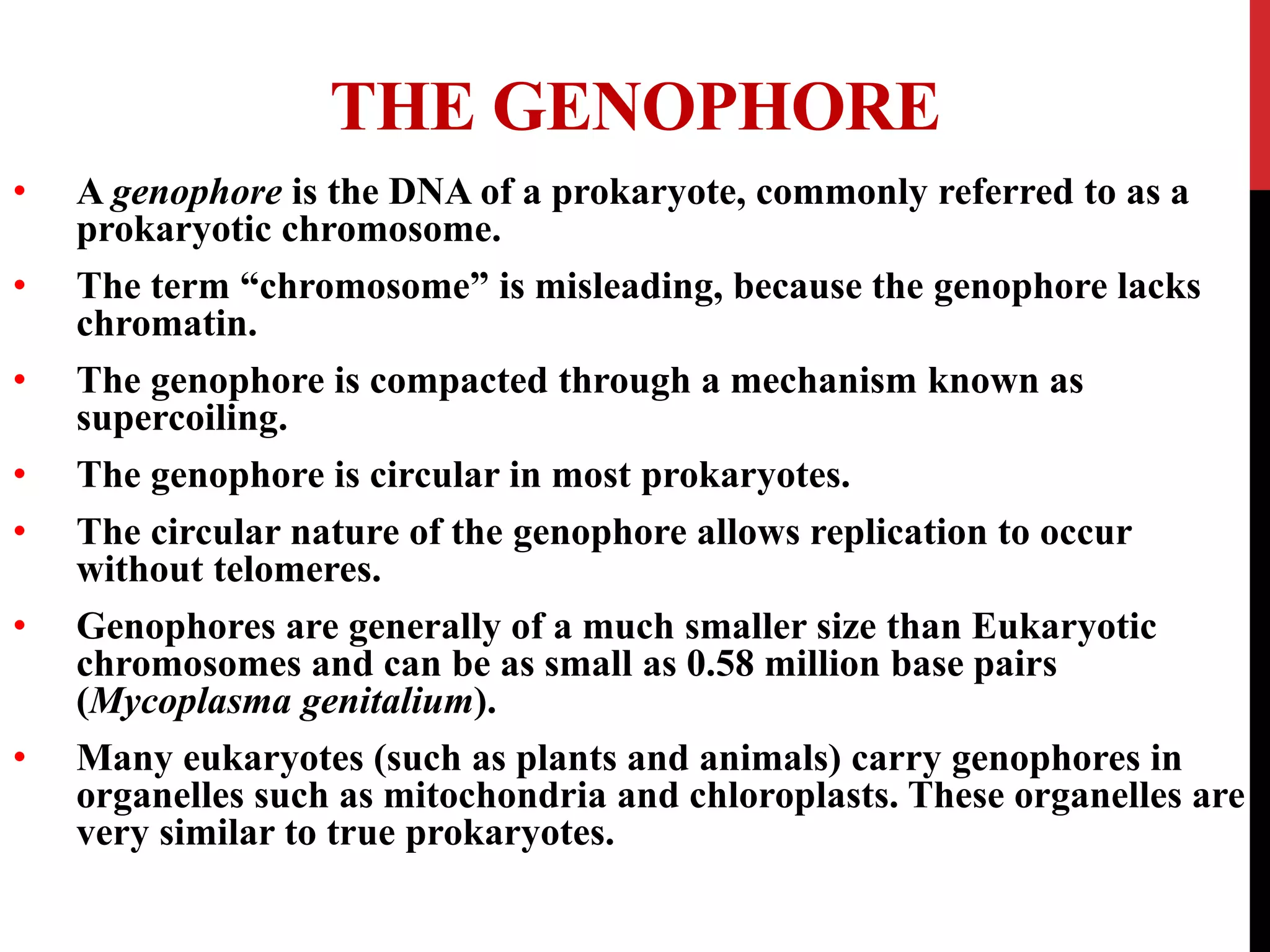 Prokaryote genome | PPTX