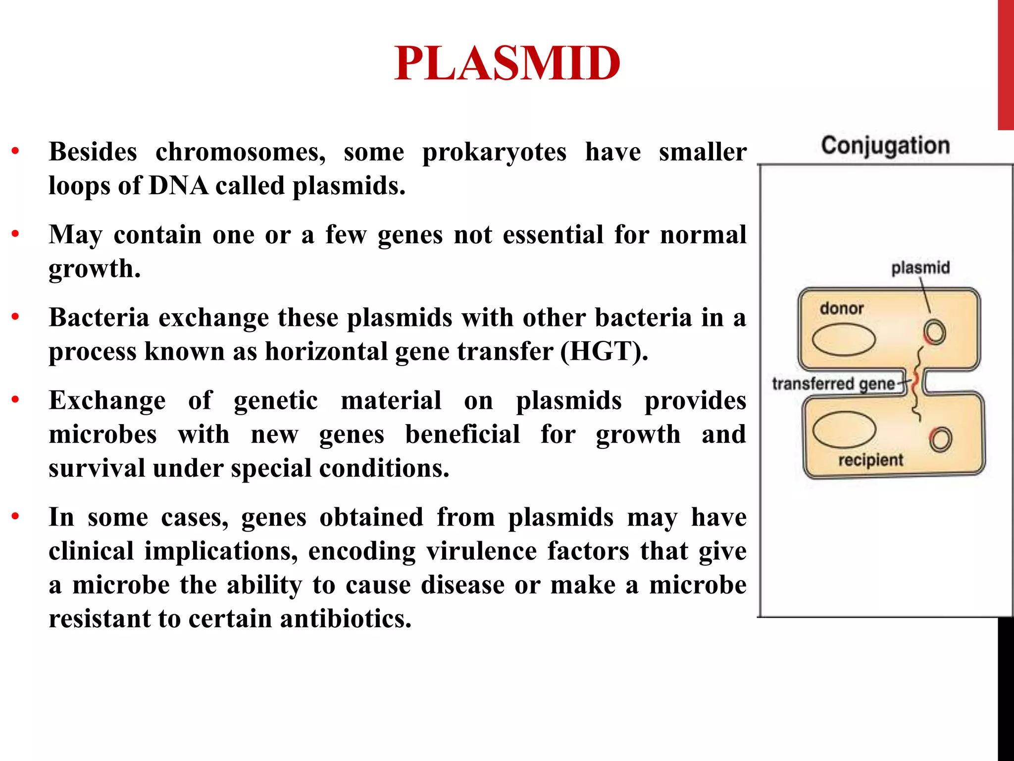 Prokaryote genome | PPTX