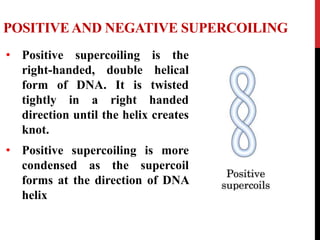 Prokaryote genome | PPTX