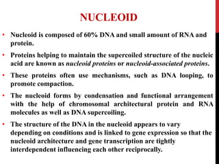 Prokaryote genome | PPTX