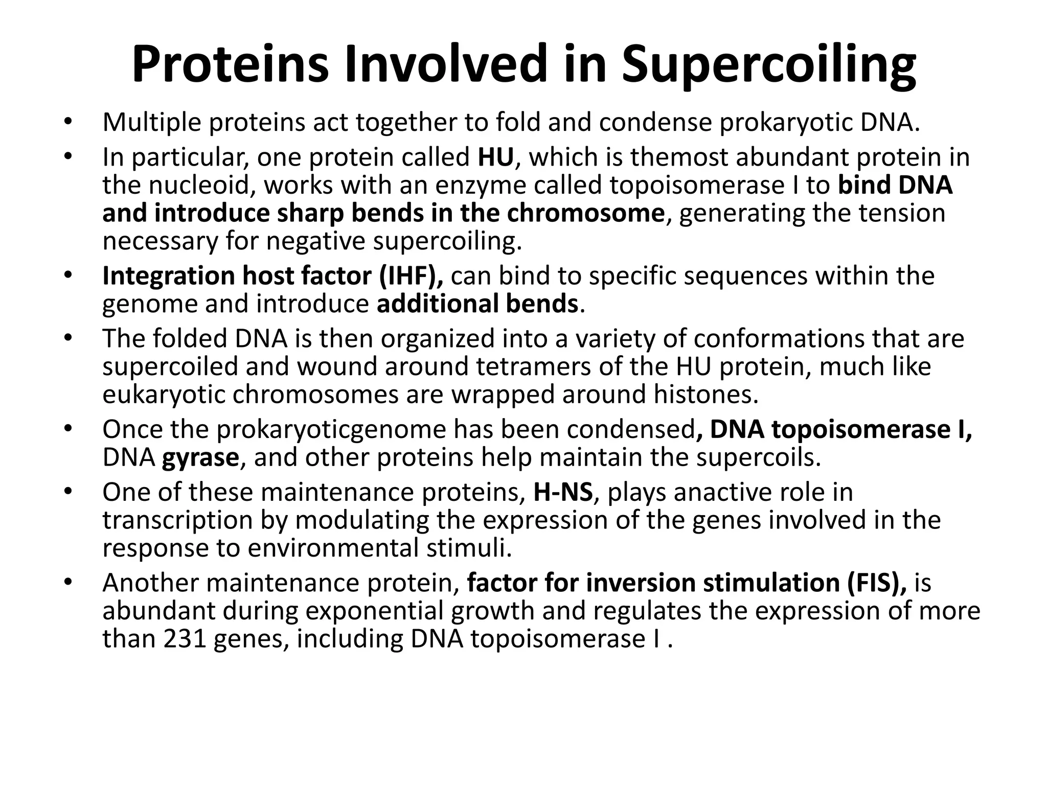 Prokaryote genome | PPTX