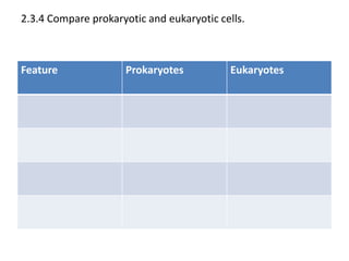 Prokaryotes | PPTX