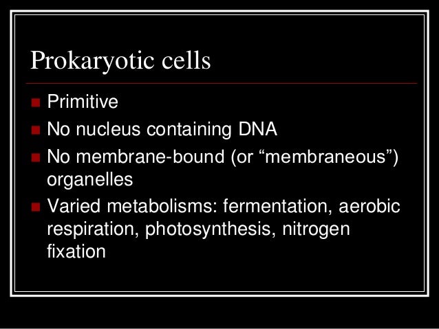 Prokaryotes - introduction IB Biology Prokaryotes - introduction IB Biology