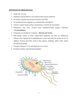 Prokaryotes | PDF | Biological Sciences | Science