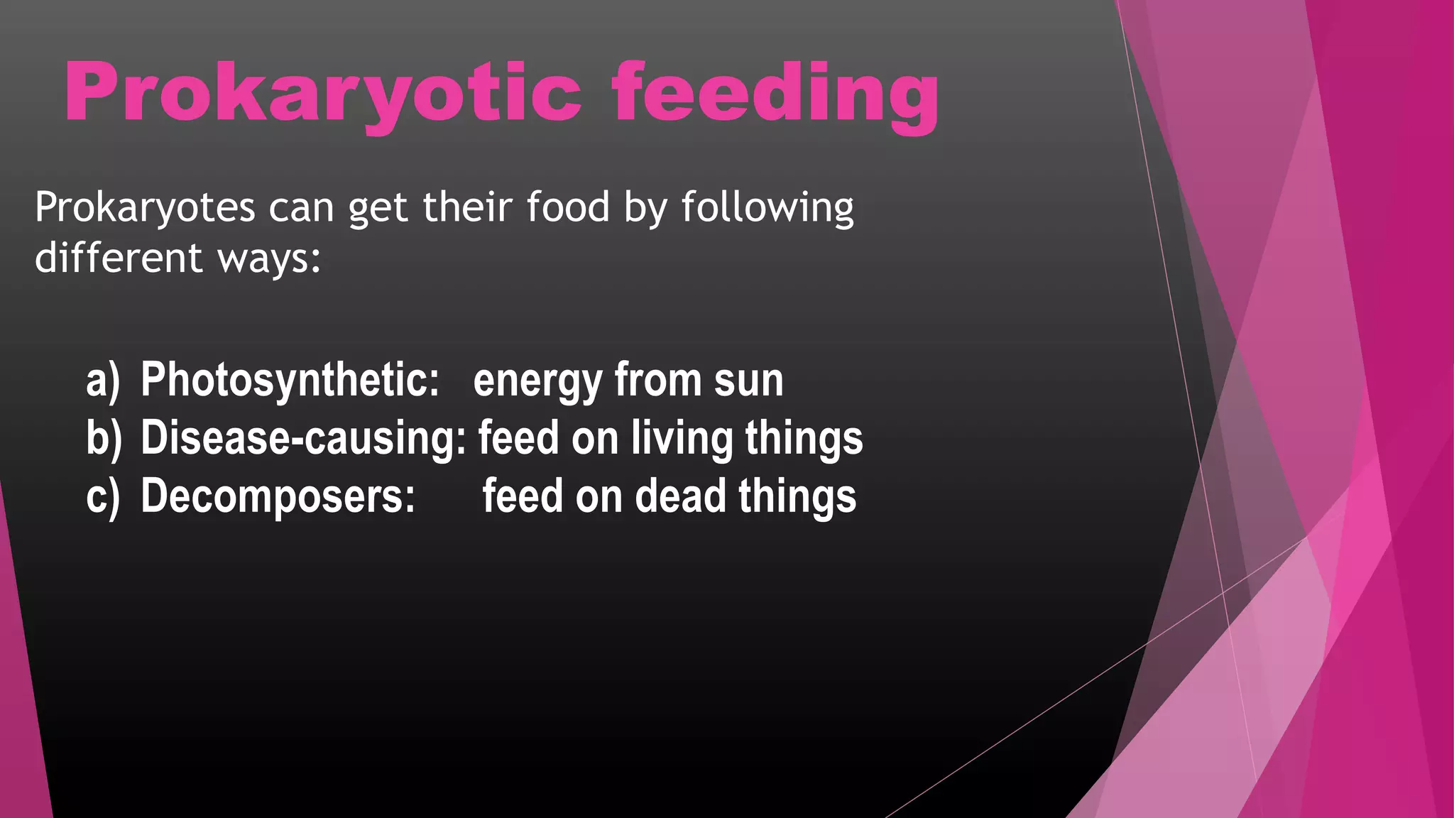 Prokaryotes | PPTX