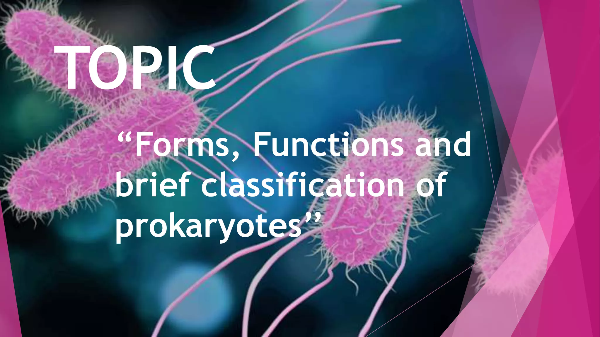 Prokaryotes | PPTX