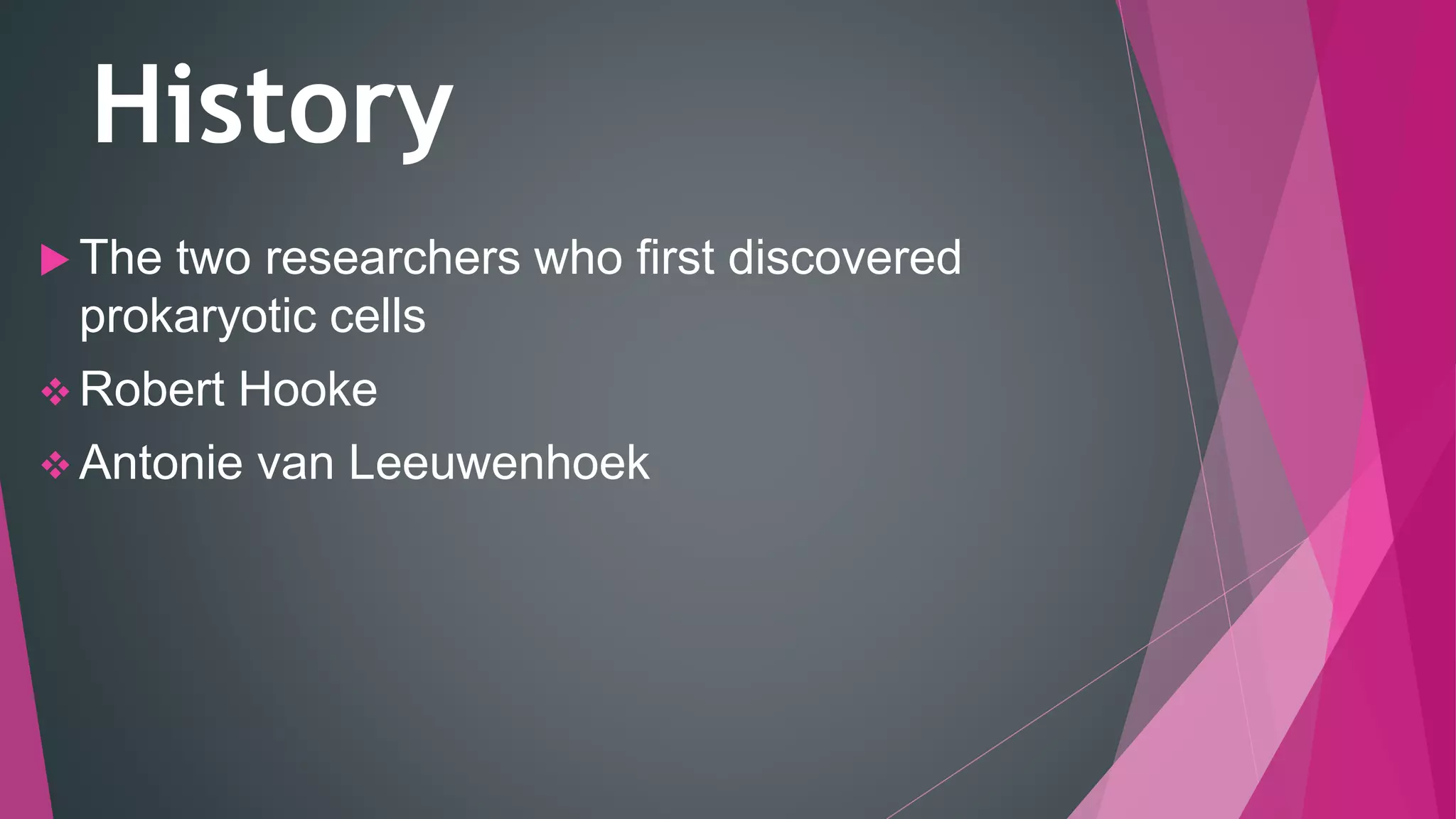 Prokaryotes | PPTX | Biological Sciences | Science