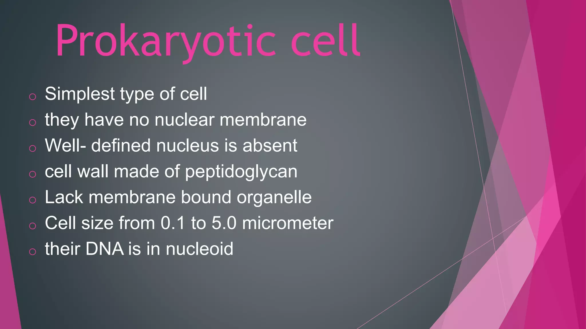 Prokaryotes | PPTX | Biological Sciences | Science