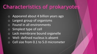 Prokaryotes | PPTX