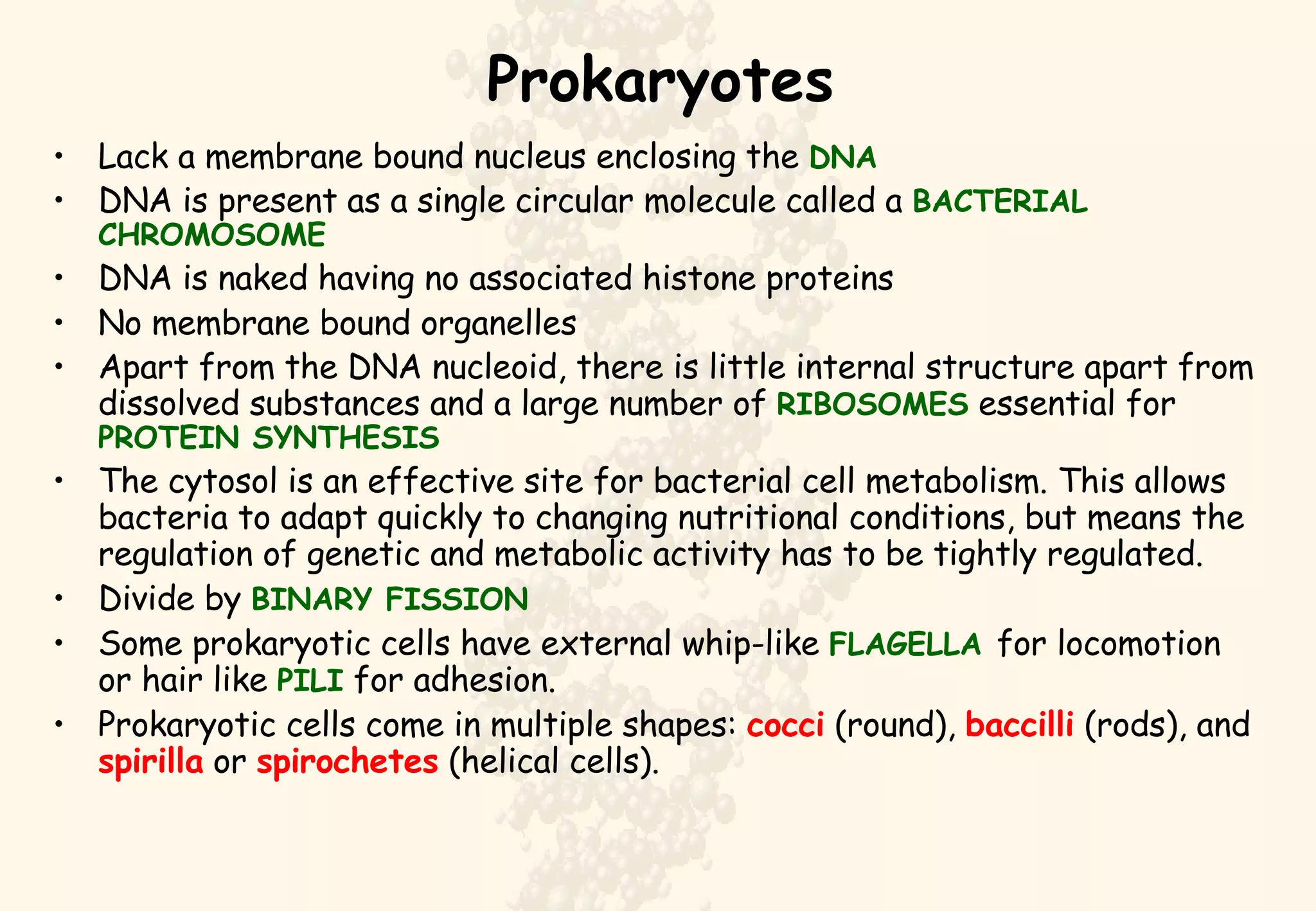 Prokaryotes _Eukaryotes | PPT