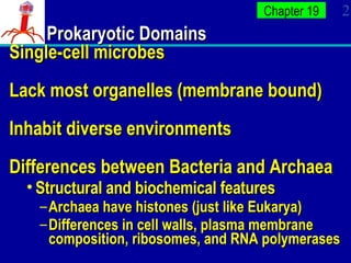 Prokaryotes Virus APBio | PPT