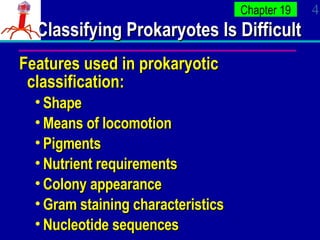 Prokaryotes Virus APBio | PPT