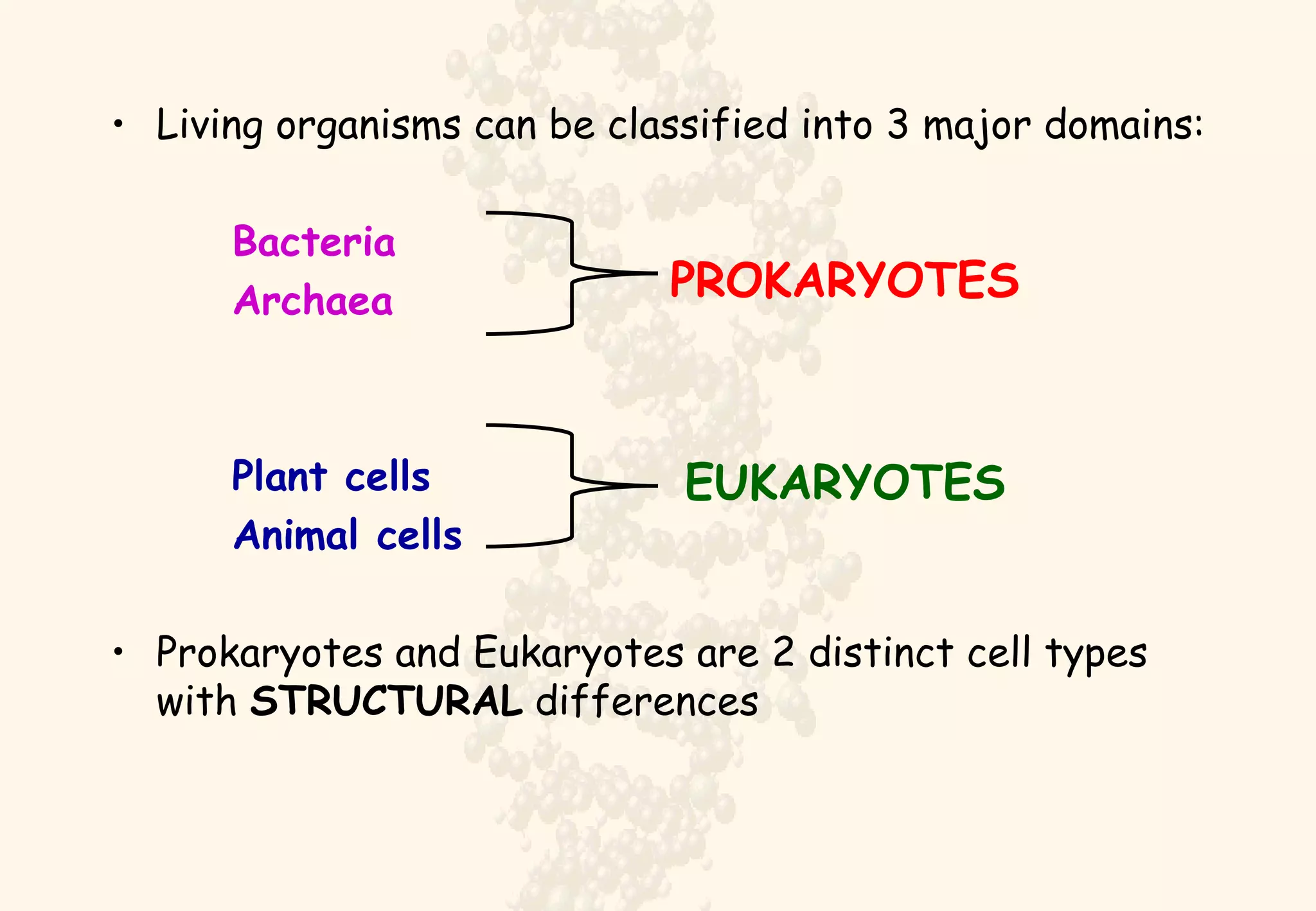 Prokaryotes vs Eukaryotes | PPT