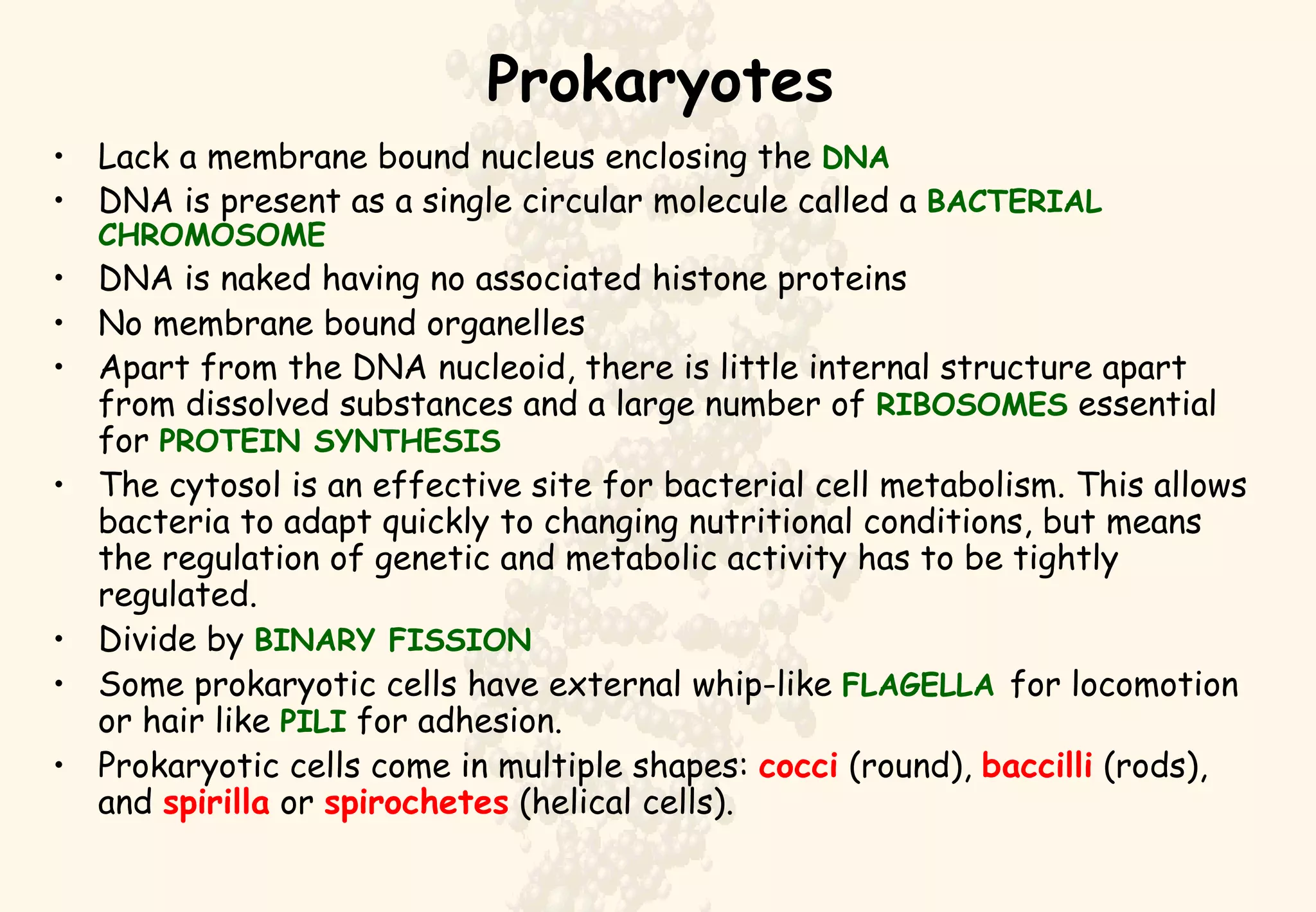 Prokaryotes Vs Eukaryotes Ppt 