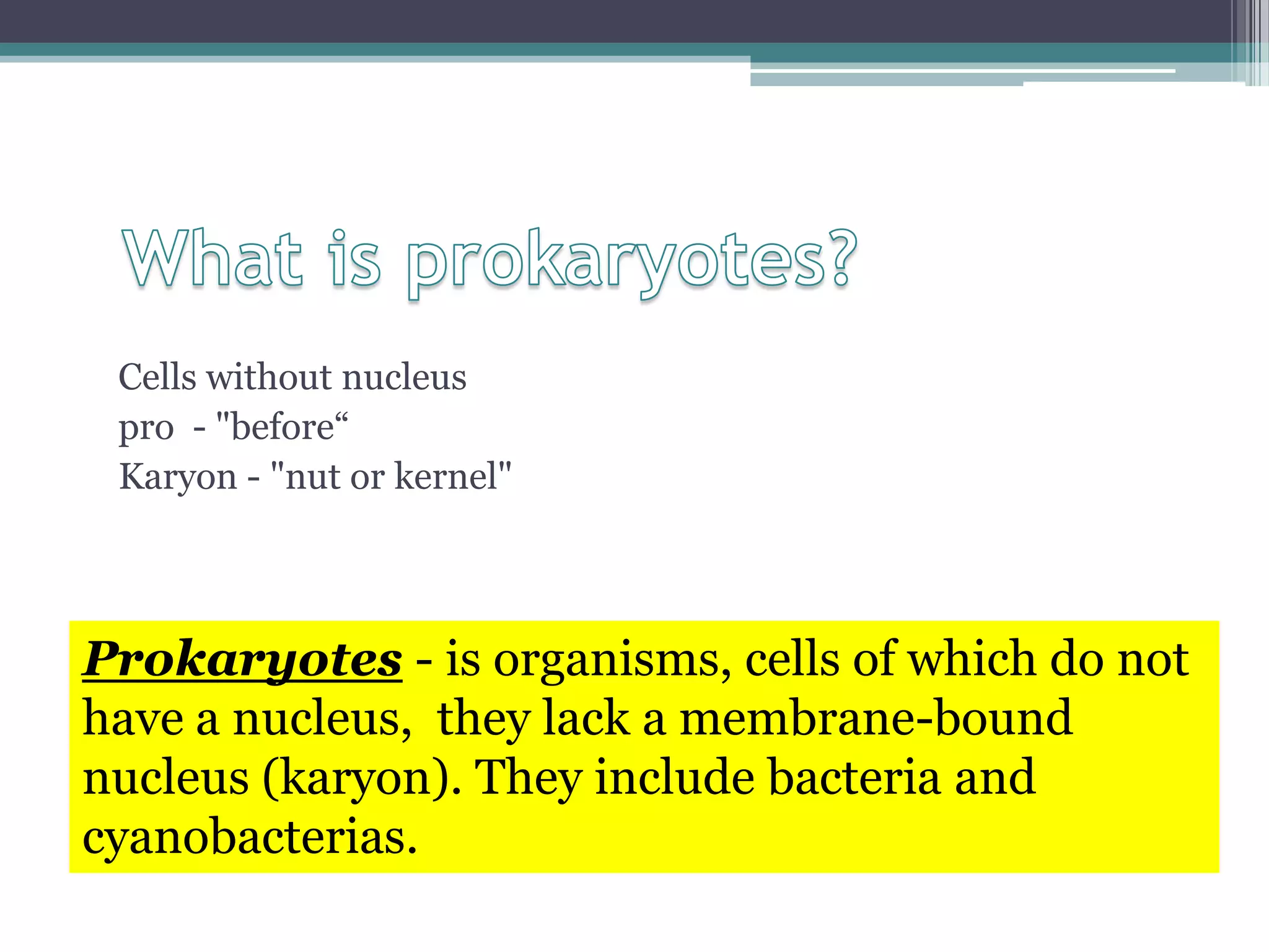 Prokaryotes and eukaryotes | PPTX