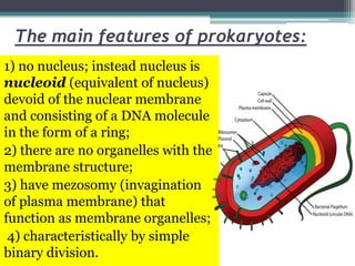 Prokaryotes and eukaryotes | PPTX