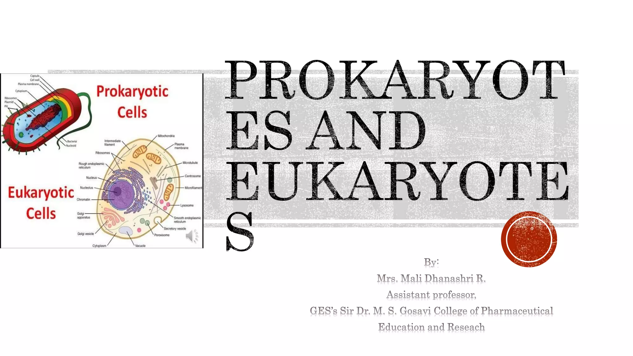 Prokaryotes and eukaryotes | PPTX | Biological Sciences | Science