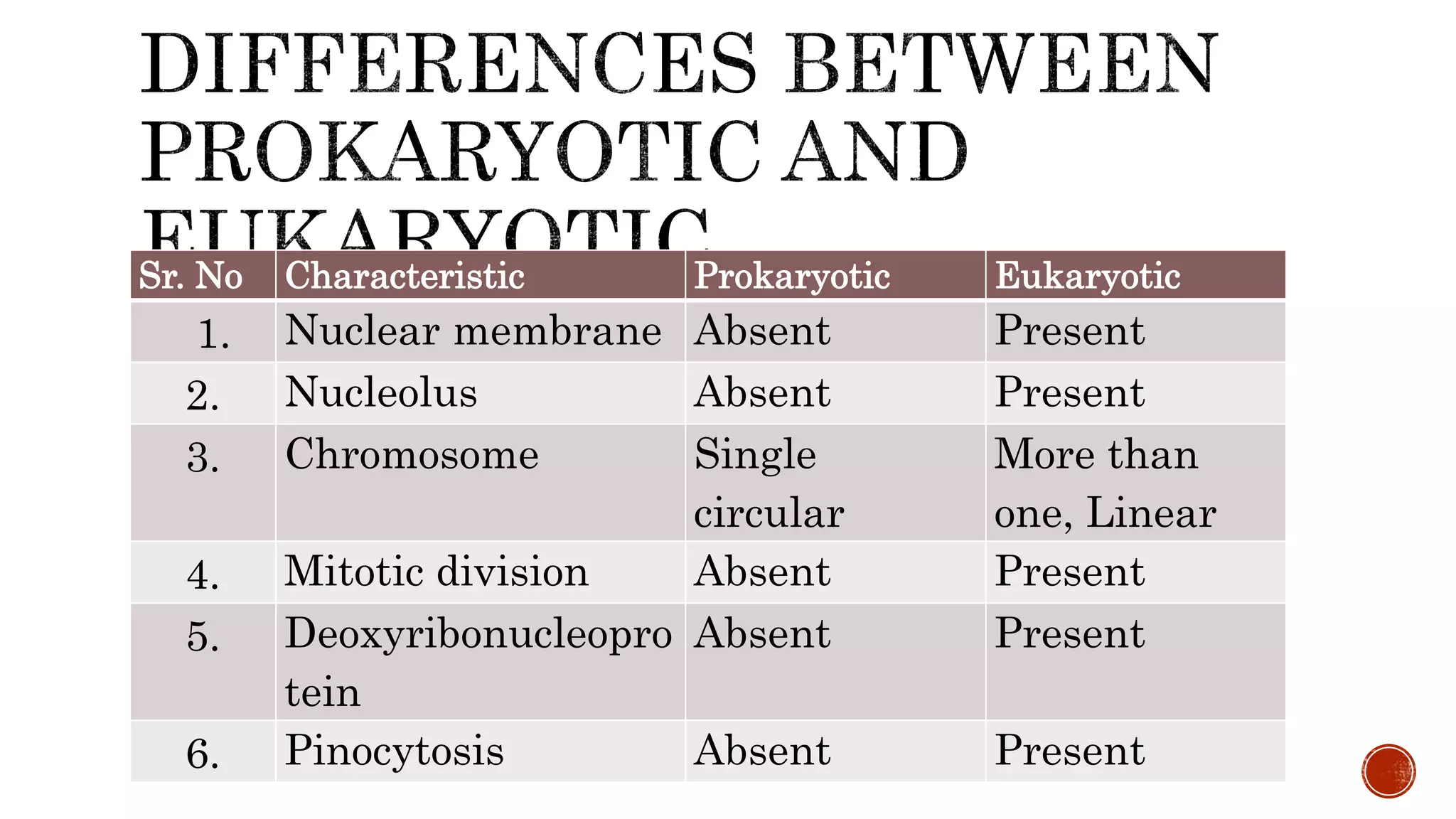 Prokaryotes and eukaryotes | PPTX | Biological Sciences | Science