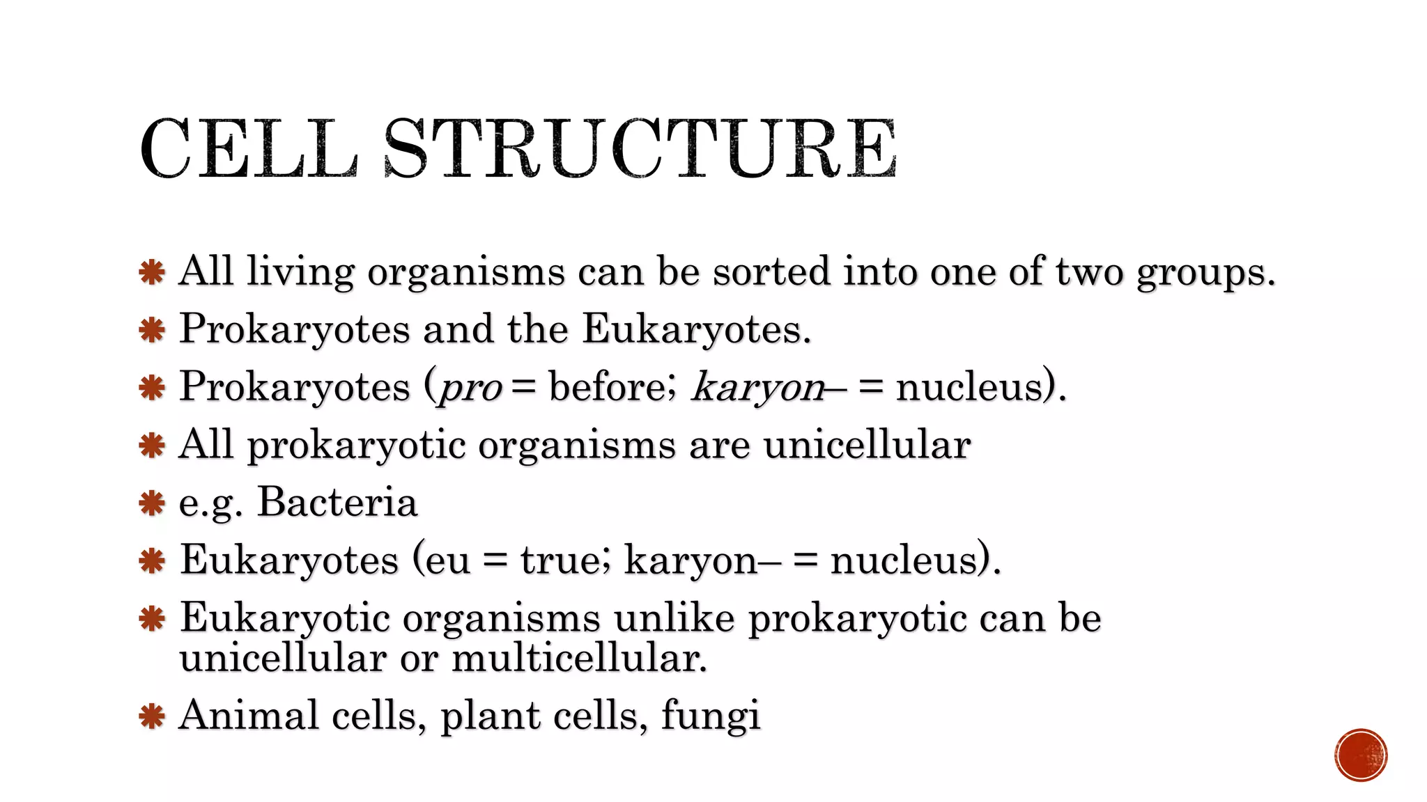 Prokaryotes and eukaryotes | PPTX | Biological Sciences | Science