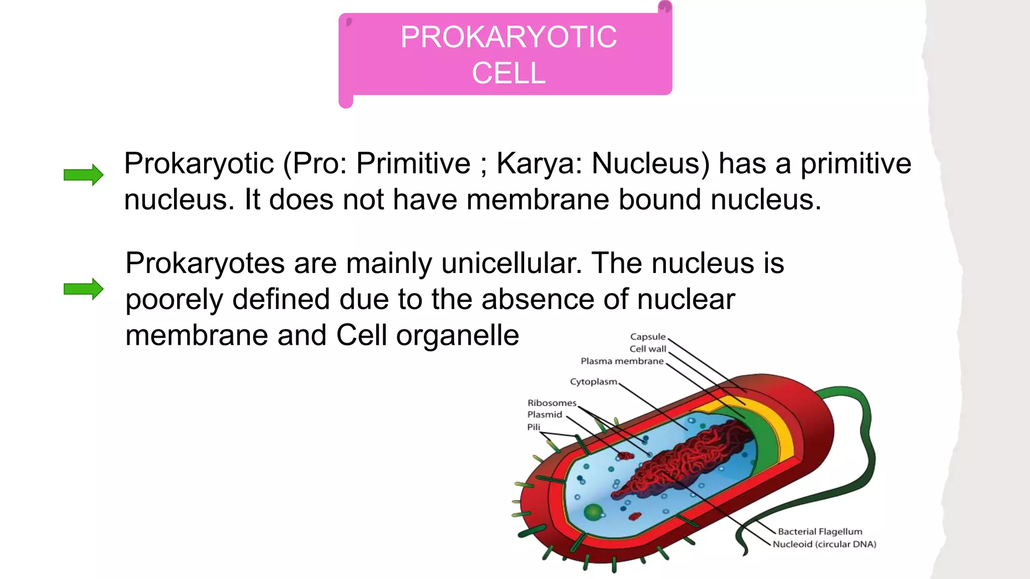STRUCTURE OF PROKARYOTES AND EUKARYOTES | PPTX