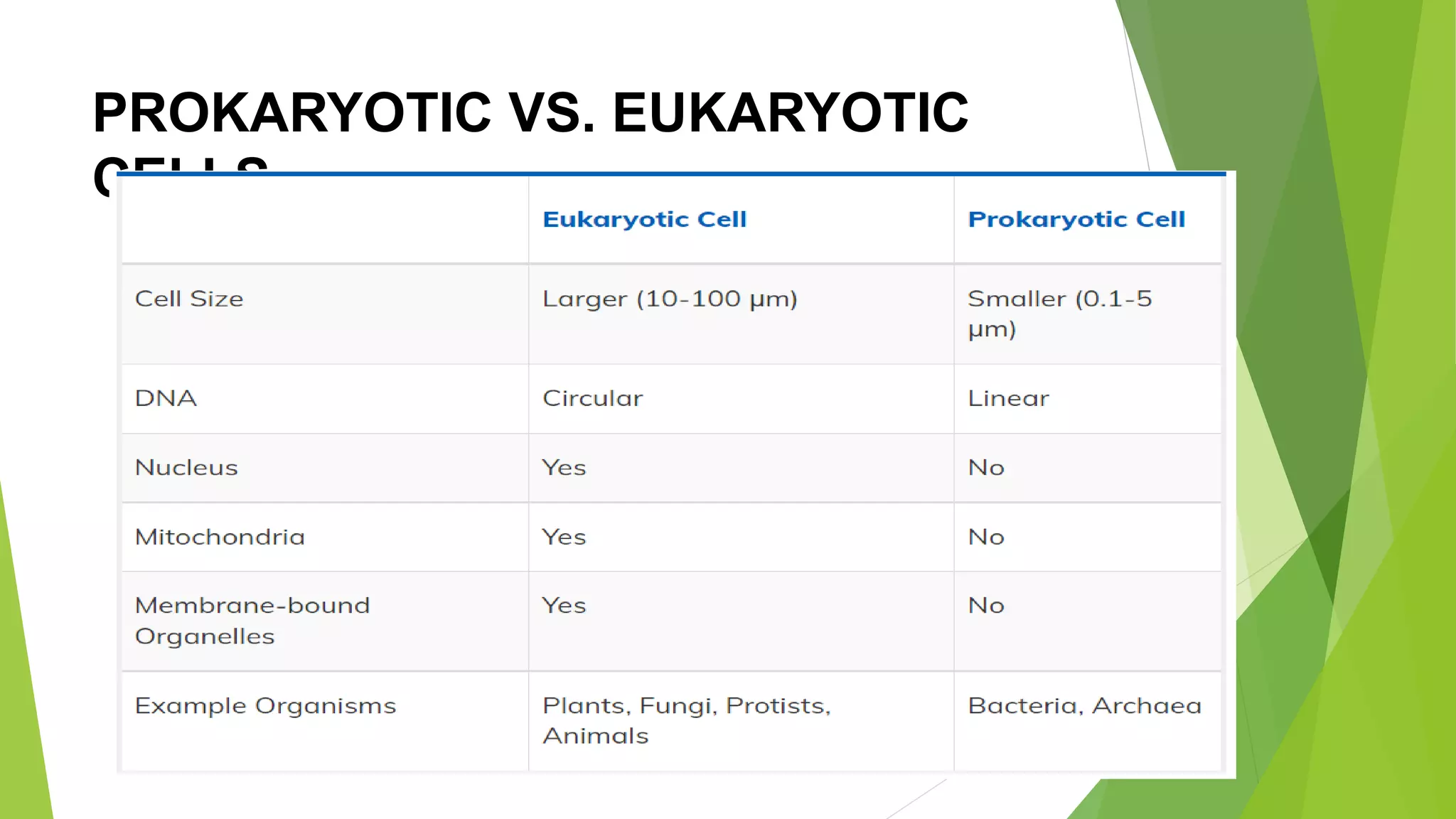 prokaryotes and eukaryotes.pptx