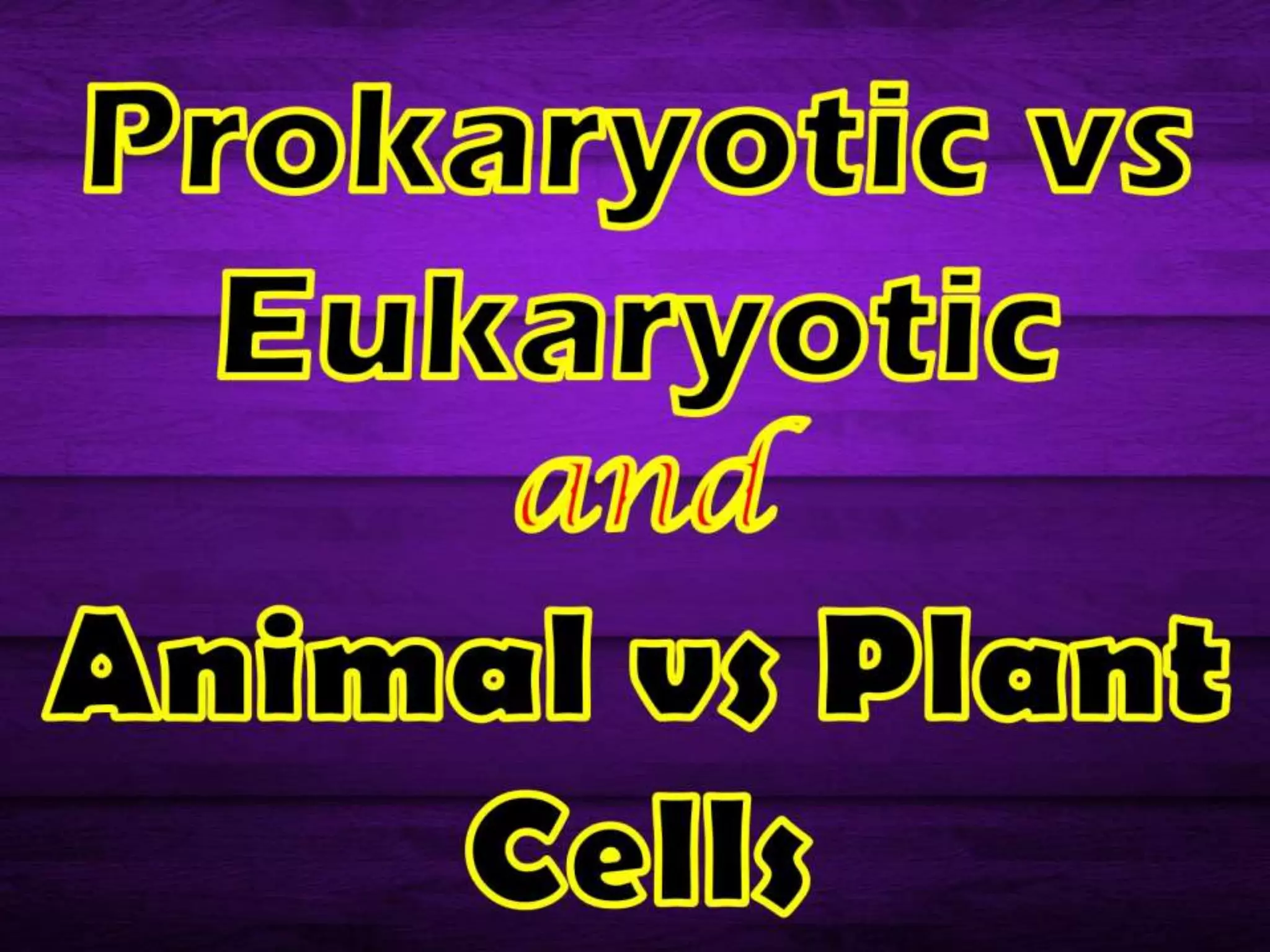 Prokaryotes and eukaryotes AND plant and animal cell | PPTX