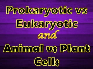 Prokaryotes and eukaryotes AND plant and animal cell | PPTX