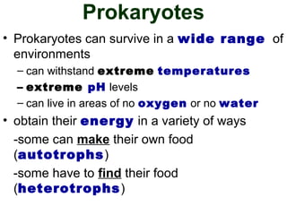 Prokaryotes and eukaryotes key | PPT