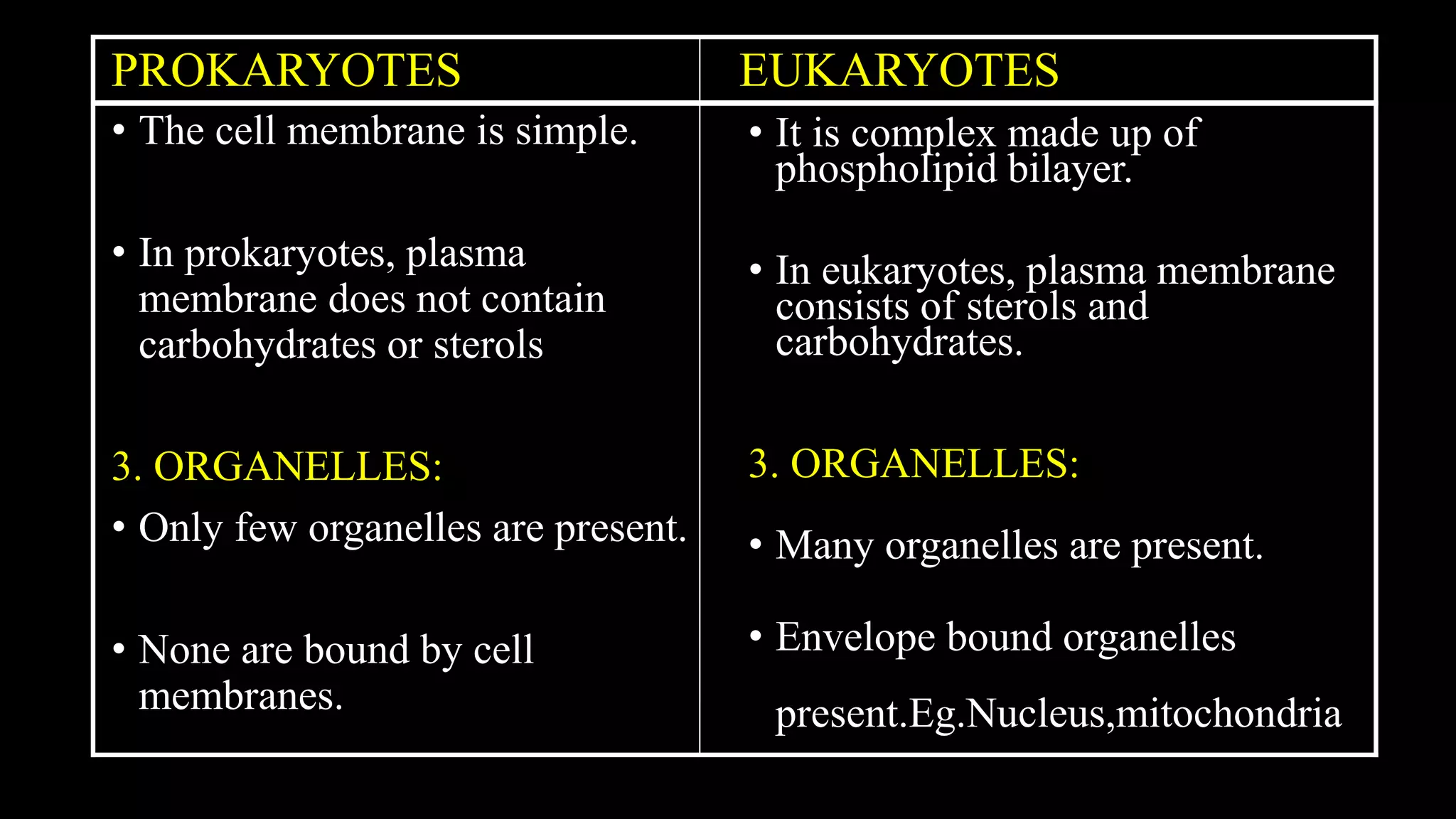 Prokaryotes and eukaryotes powerpoint | PPT