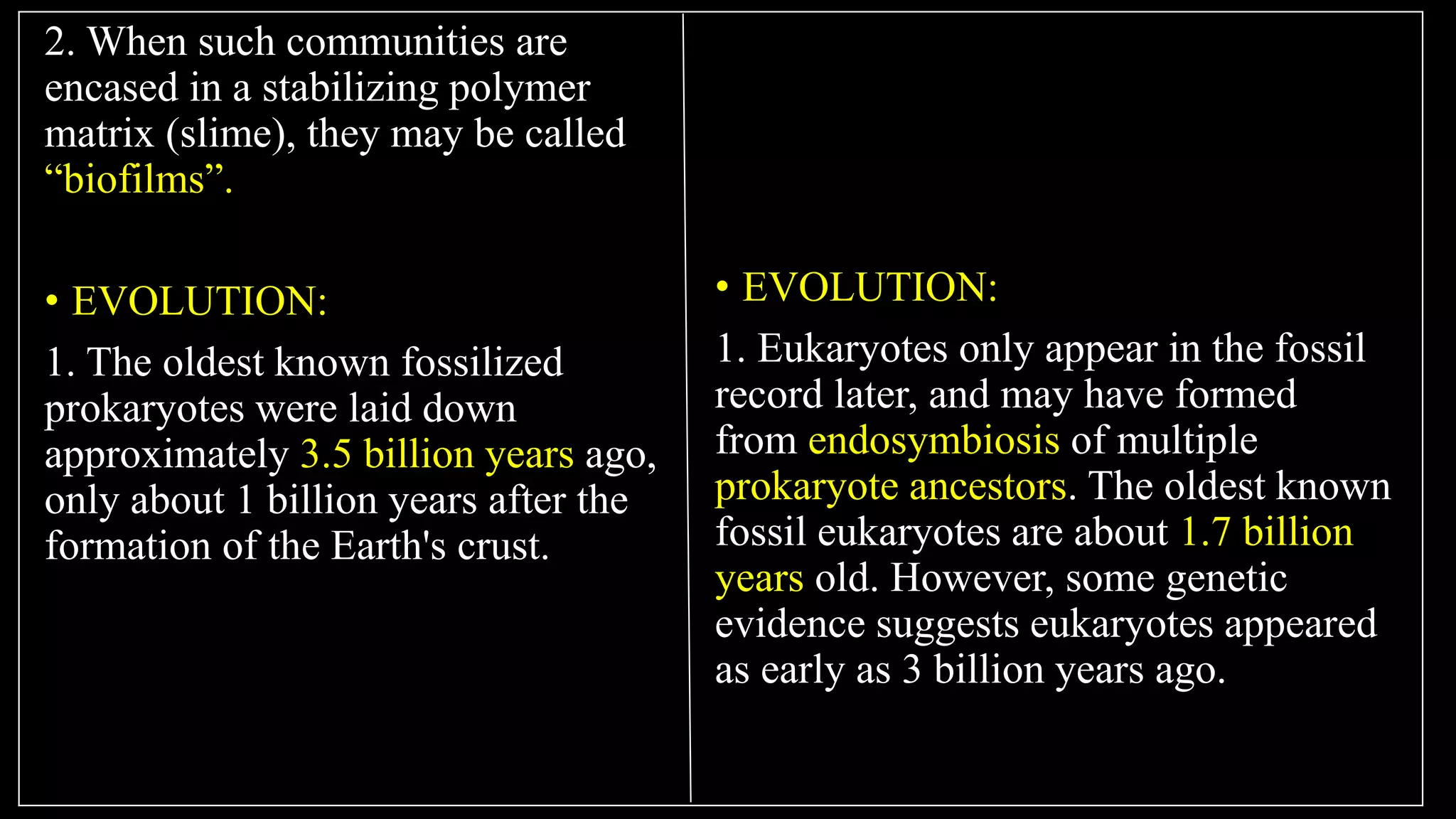 Prokaryotes and eukaryotes powerpoint | PPT