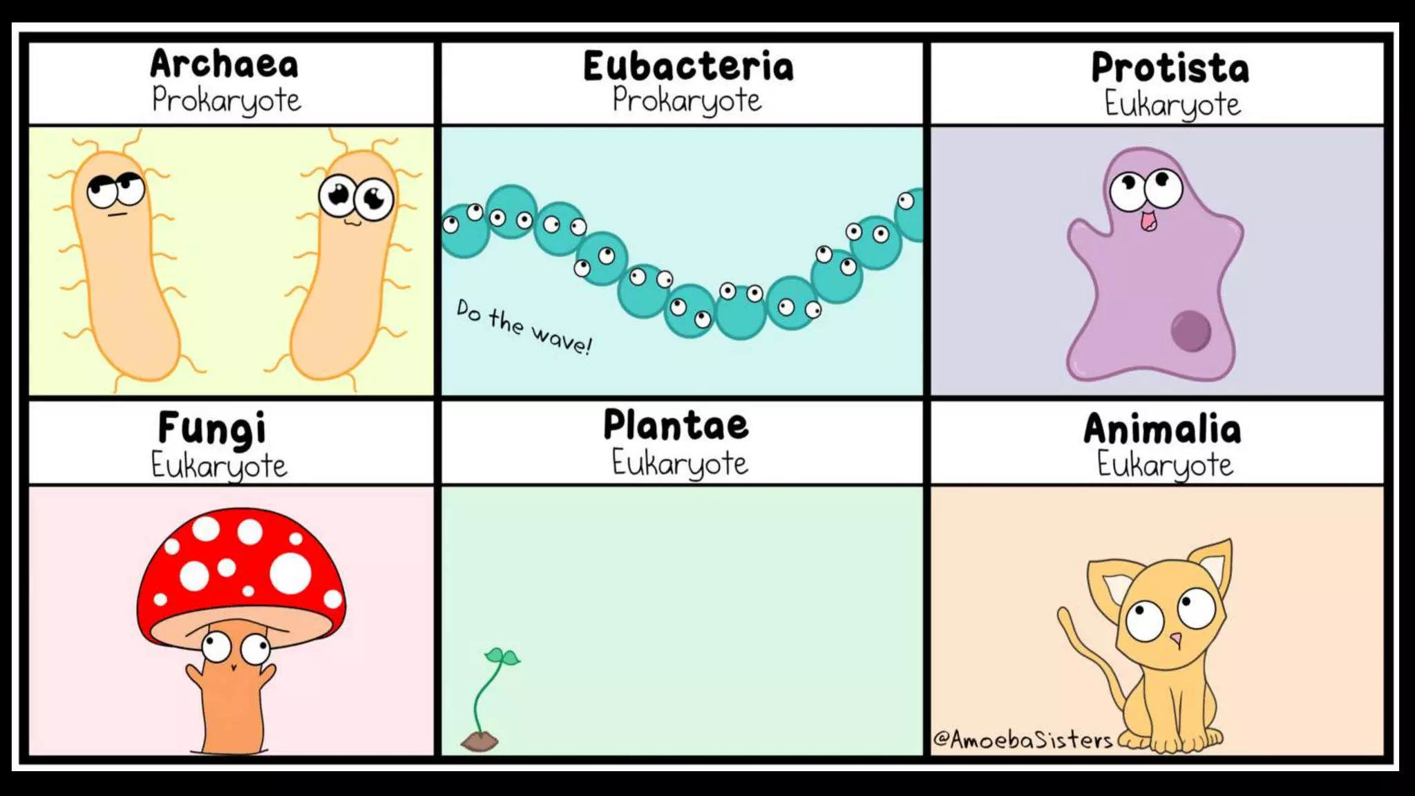 Prokaryotes and eukaryotes powerpoint | PPT